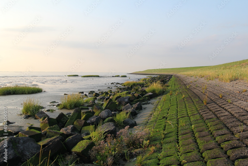 coast landscape with the natural muddy beach and the delta dyke with ...