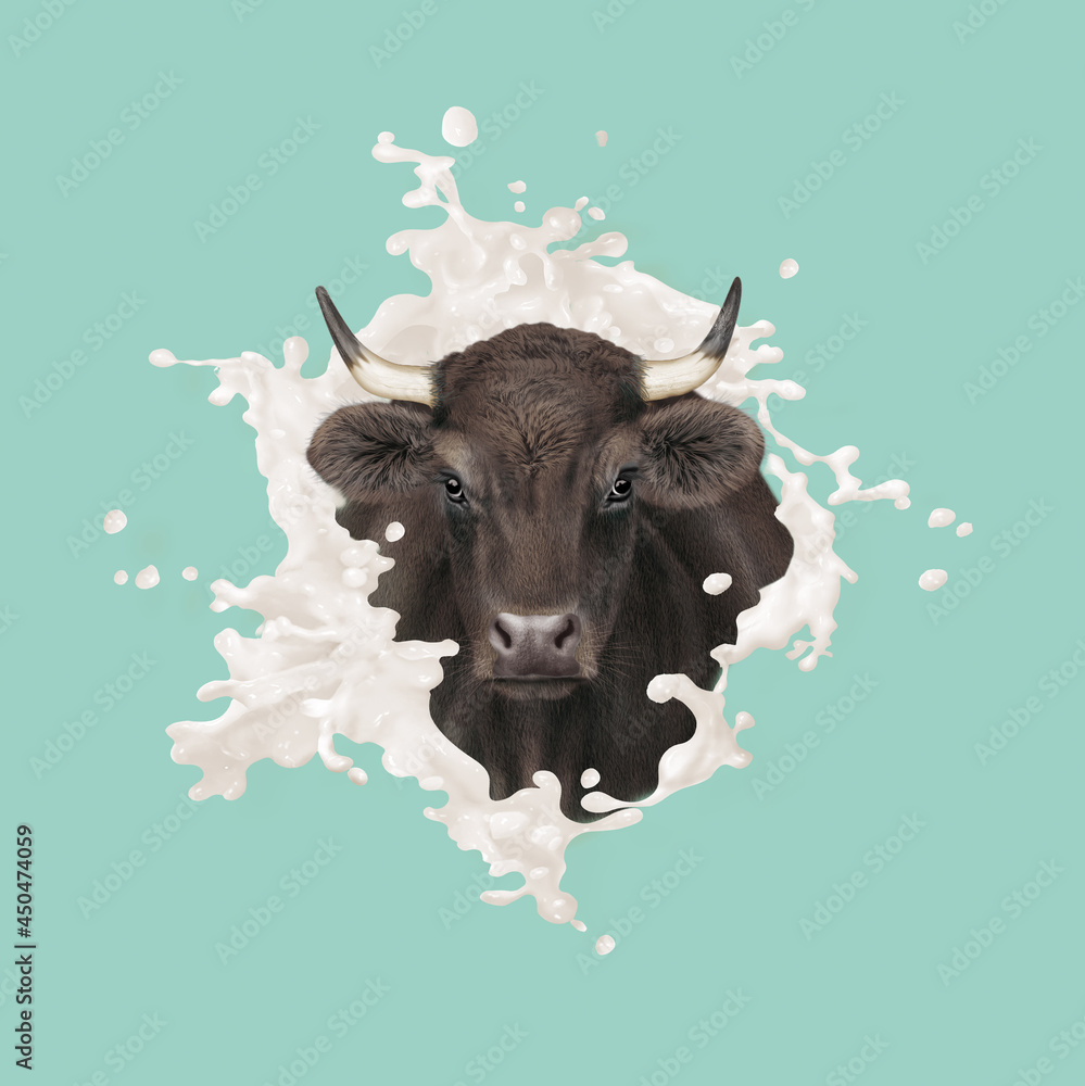 vache laitière, animal, tête de vache, veau, entouré du lait, plein de ...