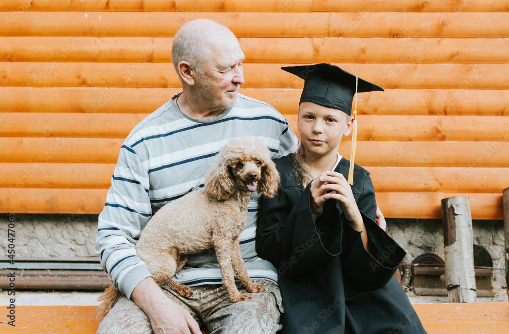 When Are Poodles Senior