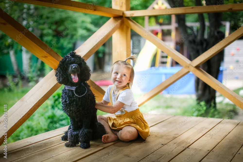 Girl child toddler and black poodle play together on the backyard ...
