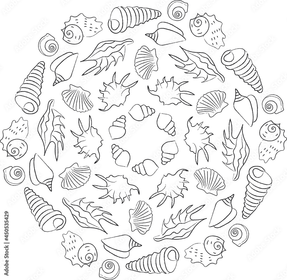 Sea Shells Coloring Page
