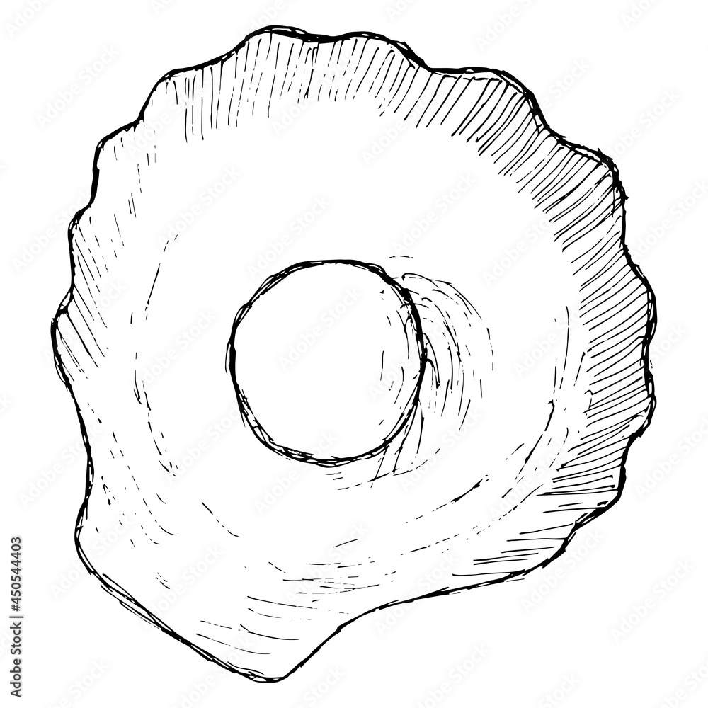 Black and white vector sketch of a scallop shell and pearls inside ...