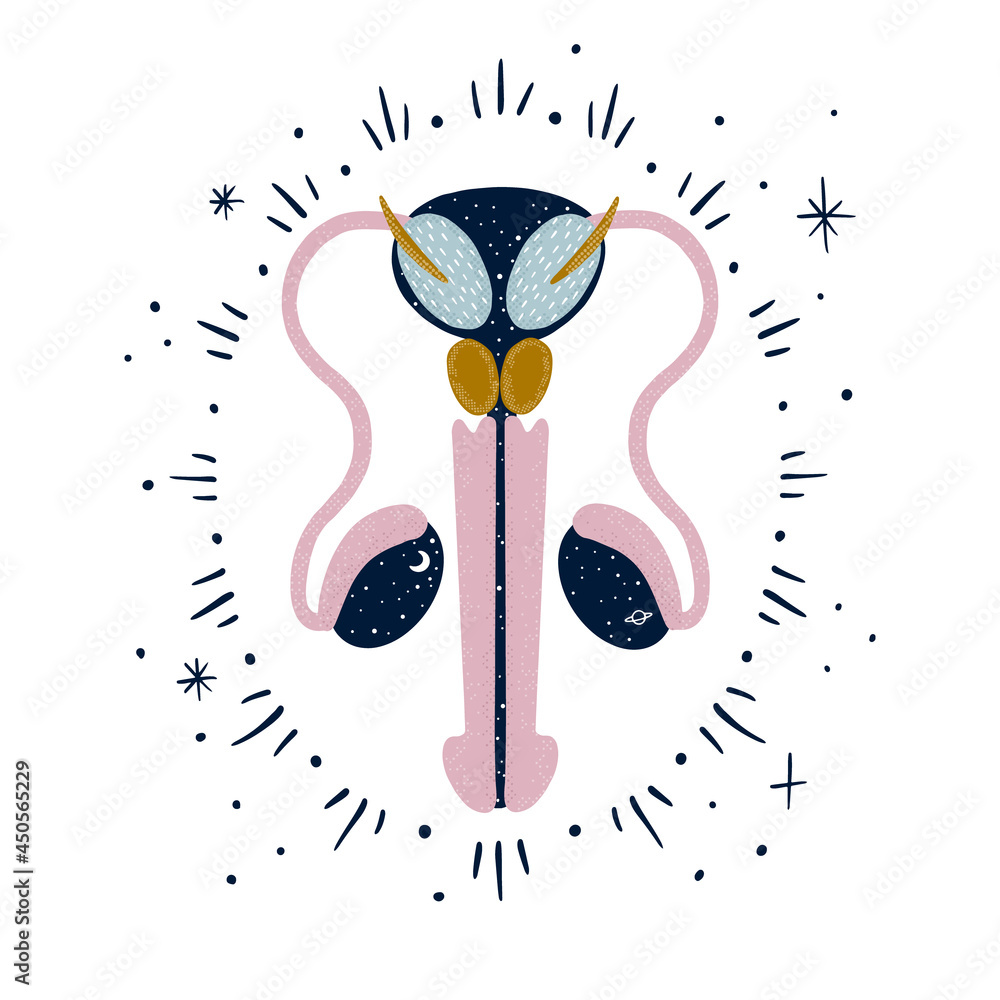 abstract modern illustration of the male reproductive system. health ...