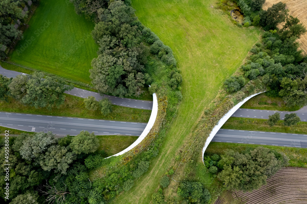 Ecoduct greenery bridge with freeway underneath wildlife crossing ...
