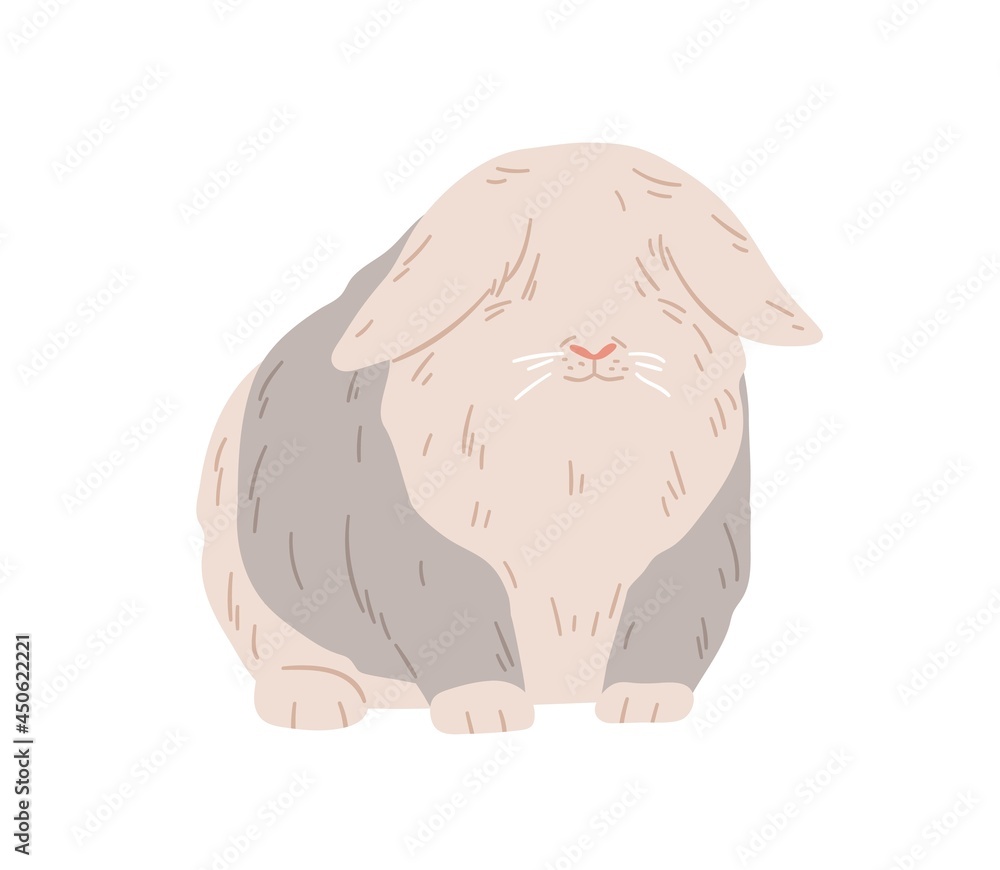 Cute lop angora rabbit. Happy fuzzy ram bunny standing. Domestic animal ...
