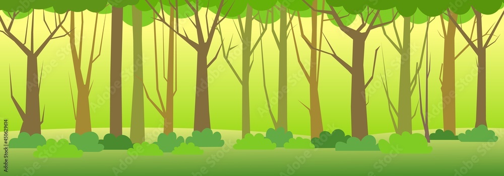Forest landscape. Dense wild trees with tall, branched trunks. Panorama ...