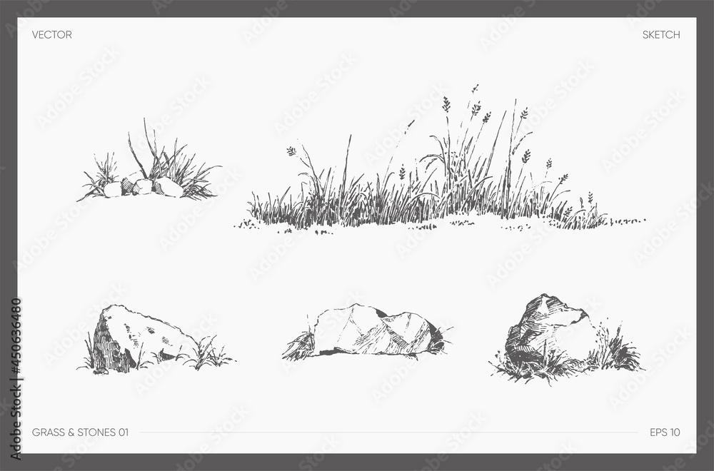High detail drawn vector grass and stones sketch Stock Vector | Adobe Stock