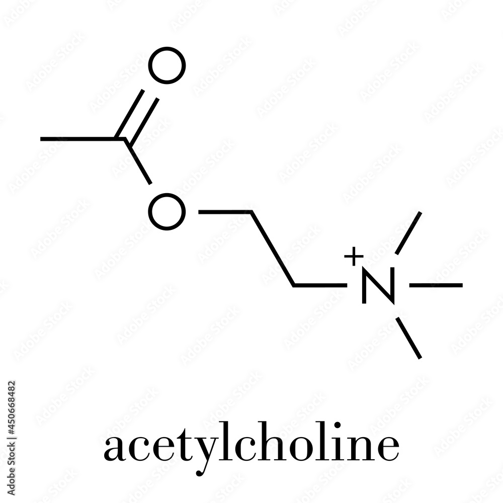 Acetylchloline (ACh) neurotransmitter molecule. Skeletal formula. Stock ...