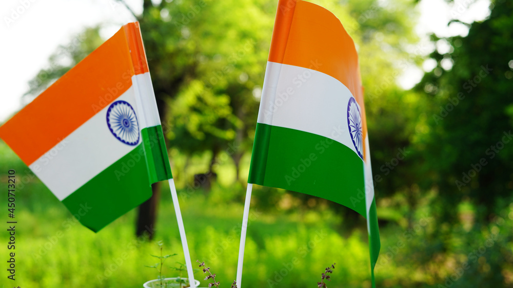 Two Indian tricolor national flags in nature background. Independence ...