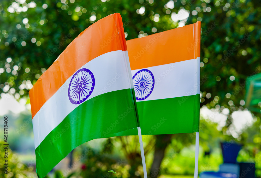 Stockfoto Two Indian national Tricolor flag holding in hand ...