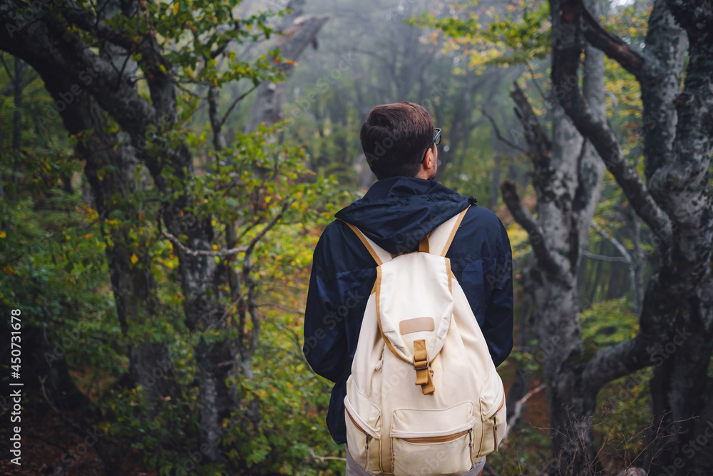 young man traveler in autumn misty nature. rear view. concept active ...