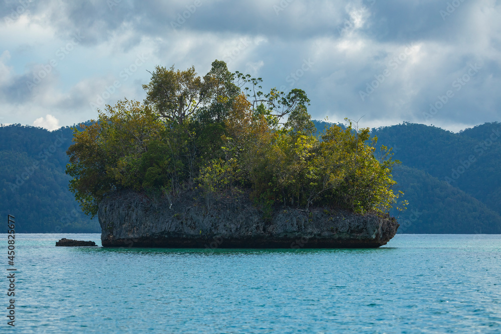 Small tropical island, and seascape, weathered by sea water, covered ...