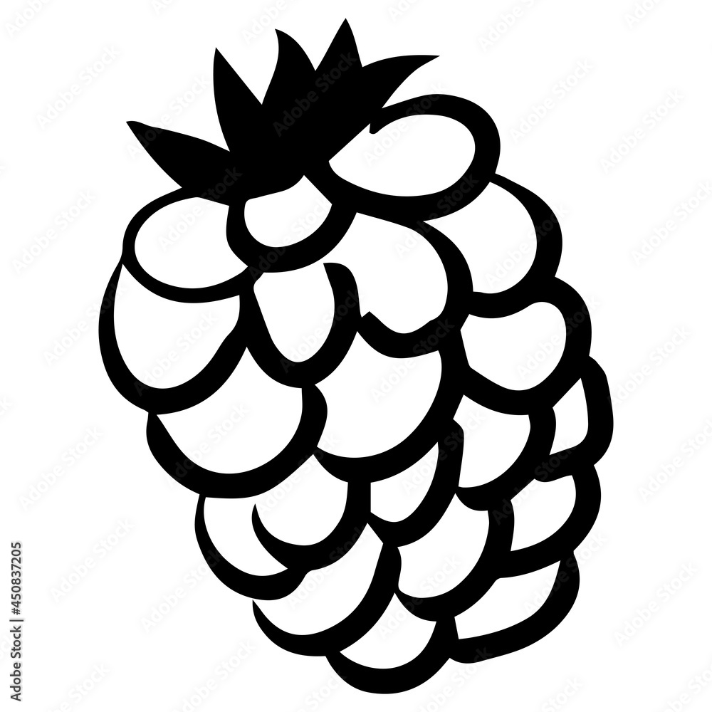 Vector isolated lineart style black color raspberry Stock Vector ...