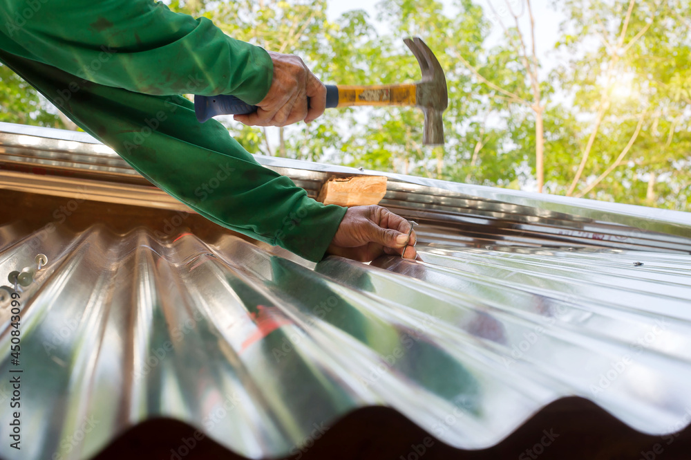 sheet, wood, man, worker, day, architecture, roof, Workers roofing the ...