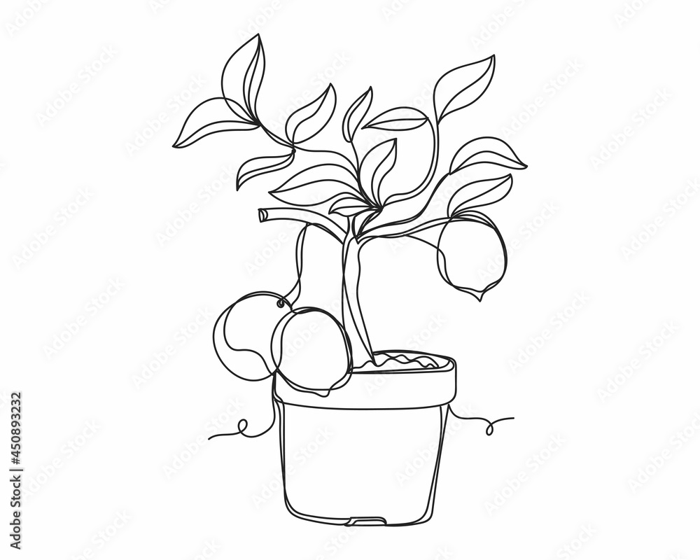 Continuous one line drawing of lemon tree in pot in silhouette on a ...