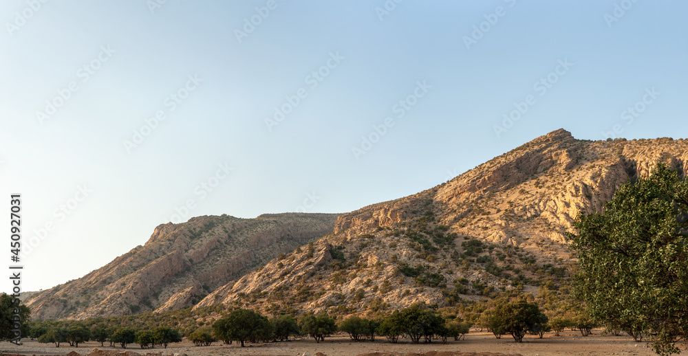Rocky Mountains with oak trees at sunset, A panoramic view of northern ...