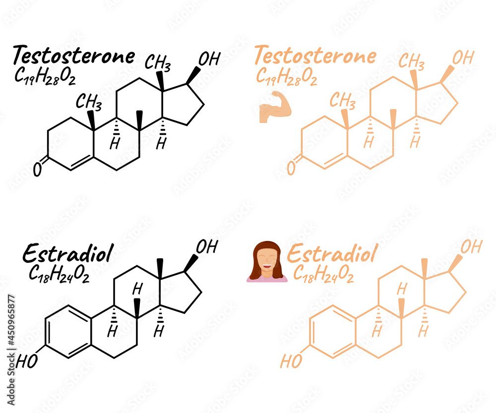 Human hormone estradiol, testosterone concept chemical skeletal formula ...