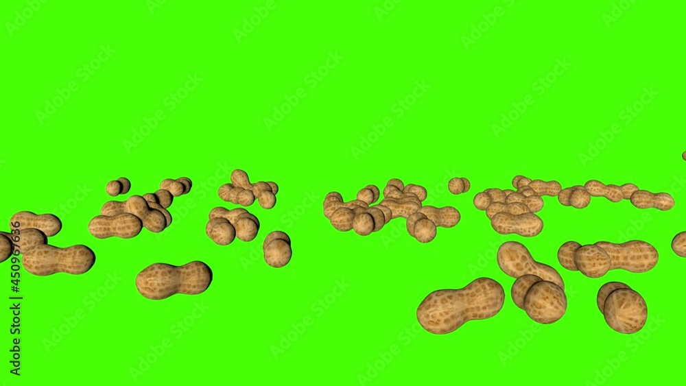3D peanuts falling animation on green screen chroma key background ...