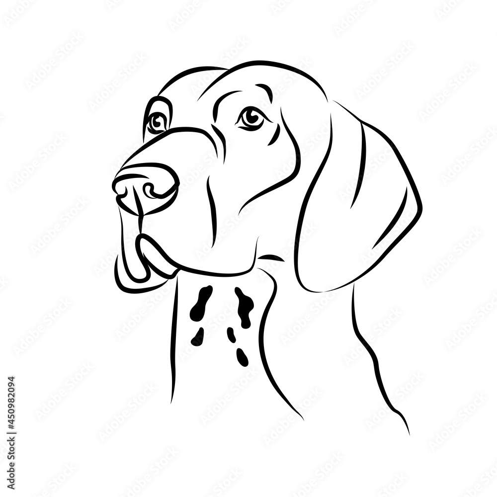 german shorthaired pointer head, logo purebred pet, white black dog ...