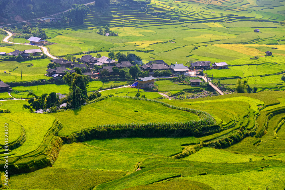 Rice fields on terraced beautiful shape of TU LE Valley, view on the ...
