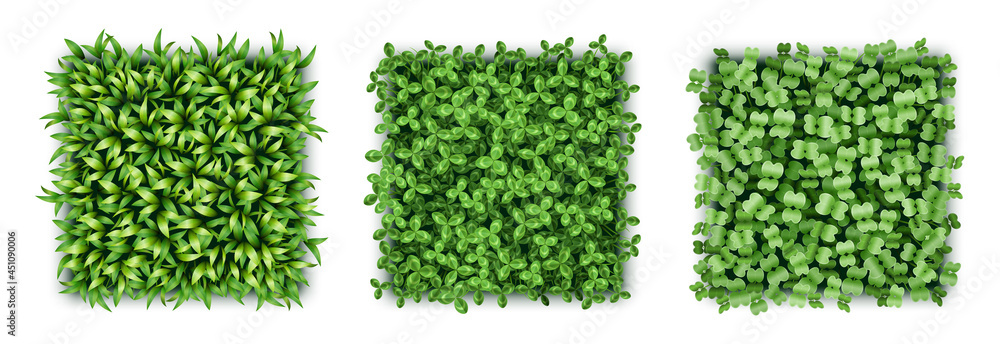 Realistic lawn green grass texture, organic seamless floral patterns ...