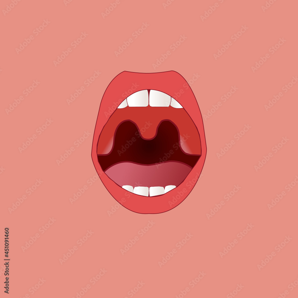 vector healthy human tonsils close up front view, tonsils, lips, teeth ...