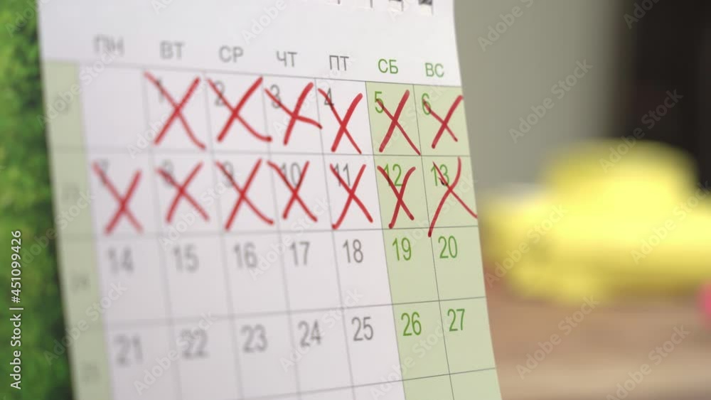 Vidéo Stock Black tip-felt pen IN dog paw crosses out date of Sunday in ...