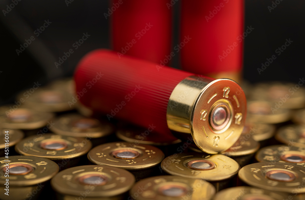 Shotgun Shells Wallpaper