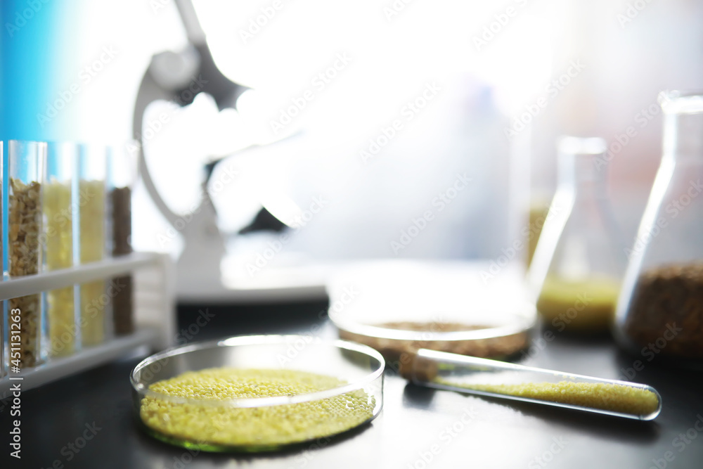 Research Analyzing Agricultural Grains And seeds In The Laboratory ...