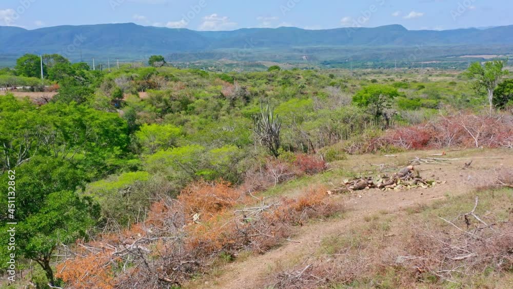 Deforestation area in Dominican Republic on San Juan De La Maguana ...