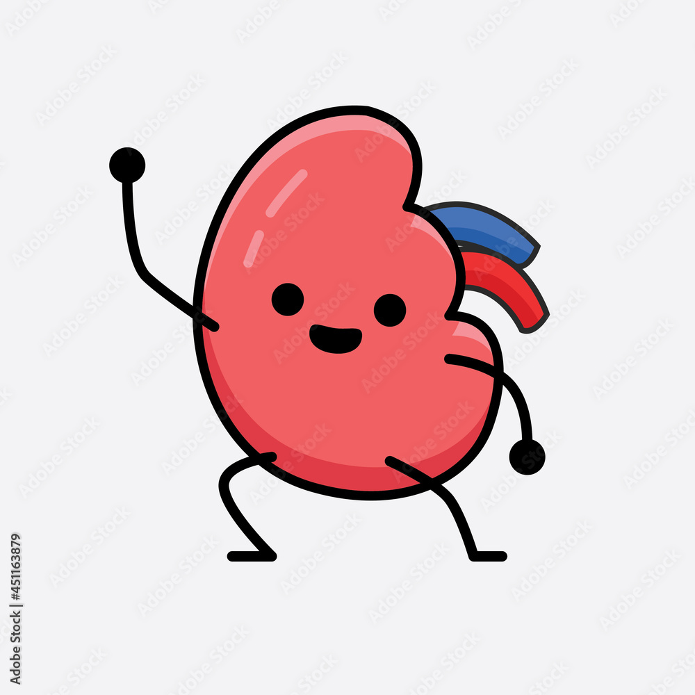 Vector Illustration of Kidney Character with cute face and simple body ...