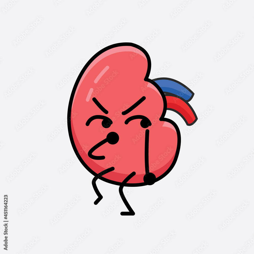 Vector Illustration of Kidney Character with cute face and simple body ...