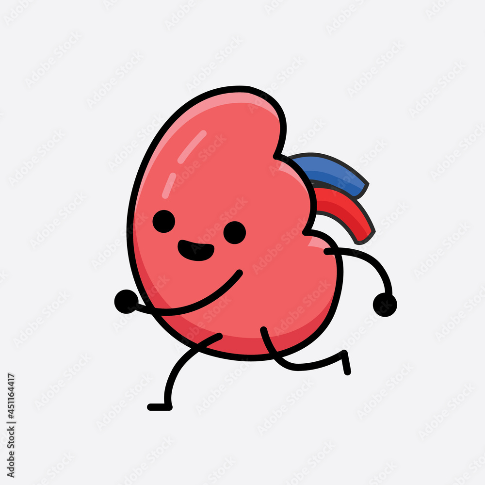 Vector Illustration of Kidney Character with cute face and simple body ...