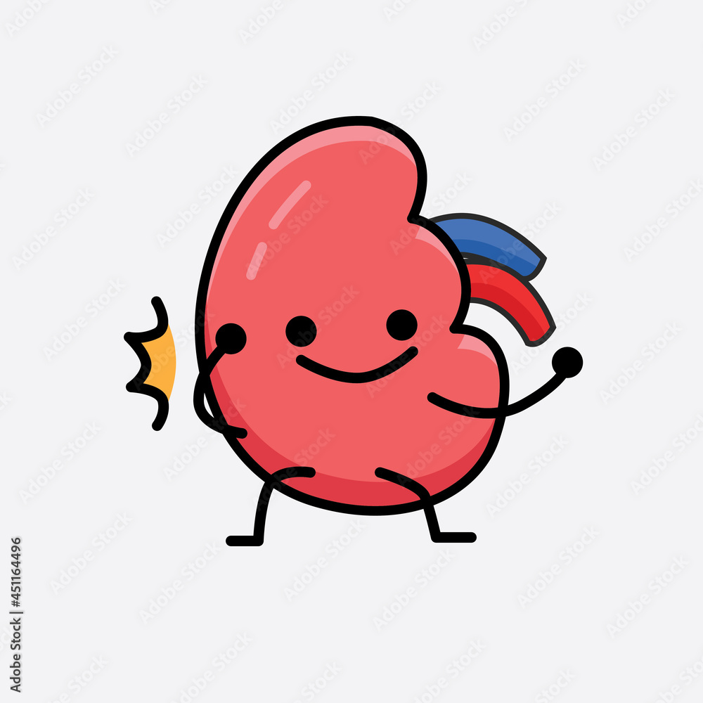 Vector Illustration of Kidney Character with cute face and simple body ...