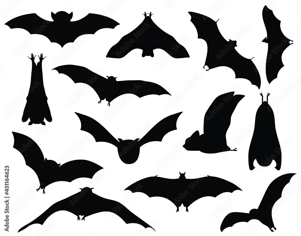 Bat collection vector illustration isolated on white background. Bat ...