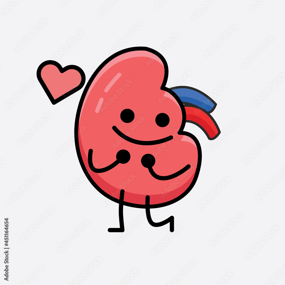 Vector Illustration of Kidney Character with cute face and simple body ...
