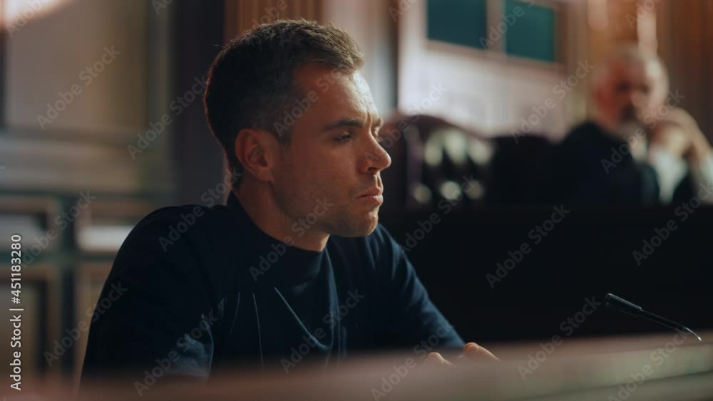 Court of Law and Justice Trial Stand: Portrait of Handsome Male Witness ...