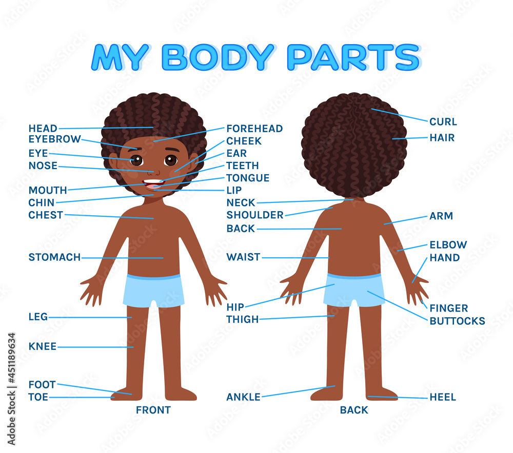 Afro Boy and Parts of My Body with English Words. Front Back View ...