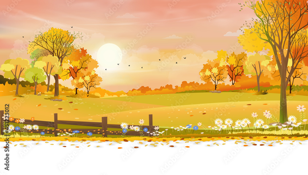 Autumn rural landscape farm fields and forest trees with orange sky ...