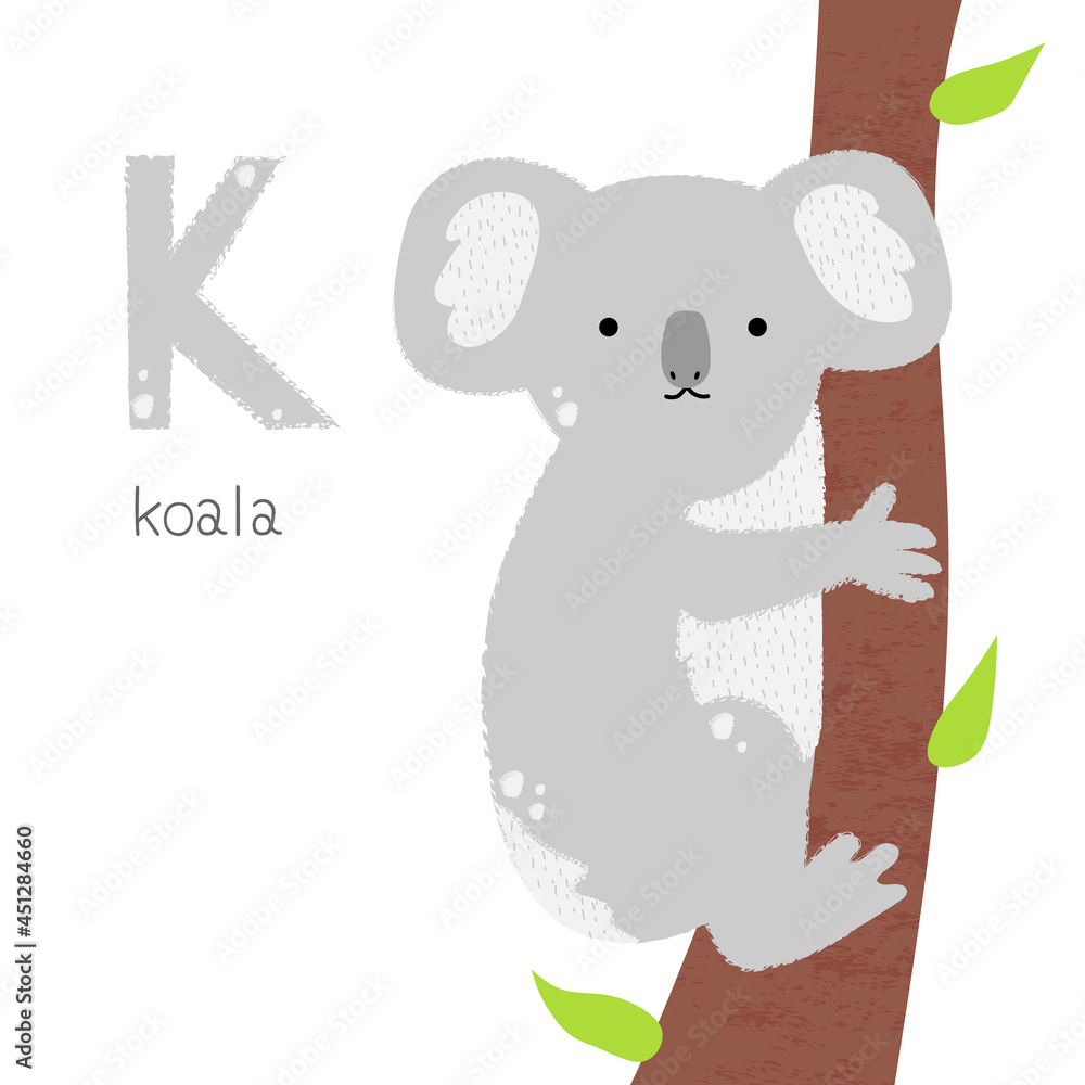 Animals alphabet. K for koala. Flat vector illustration on white ...