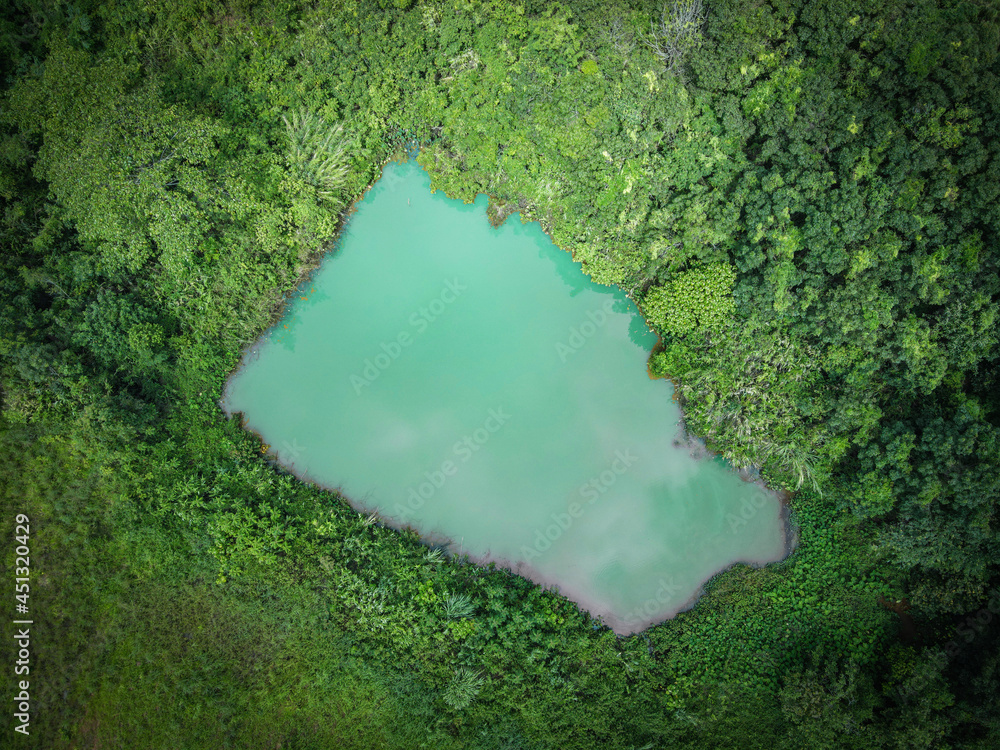 Foto de Aerial view river forest nature woodland area green tree, Top ...