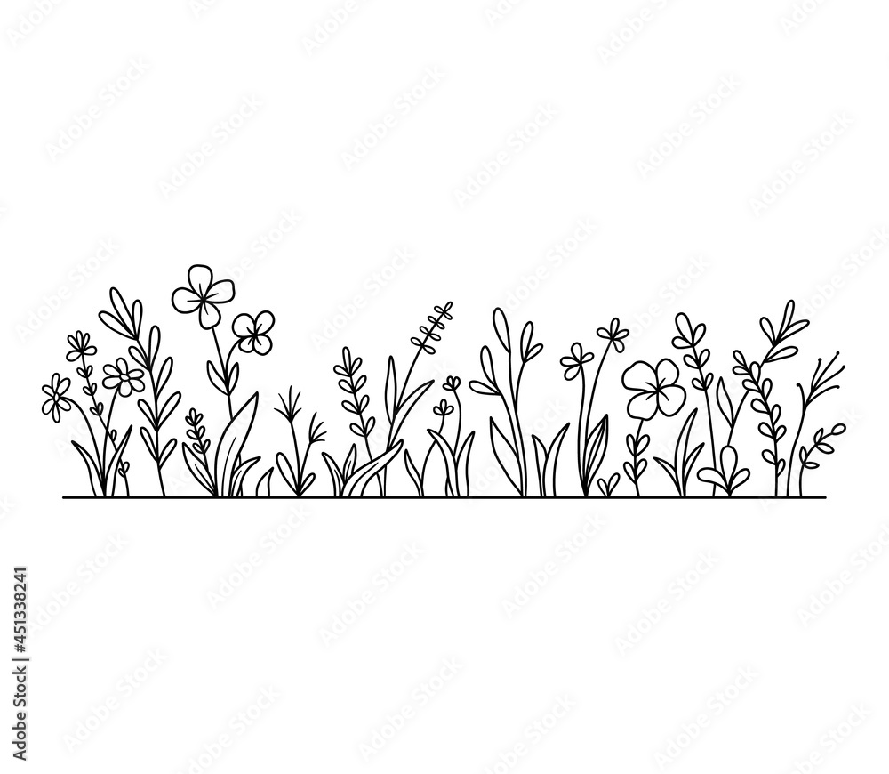 Vector Wild Herbs And Flowers Silhouette Background Field With Grass