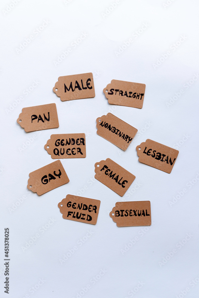 Gender identity labels and sexual orientation labels. Conceptual ...