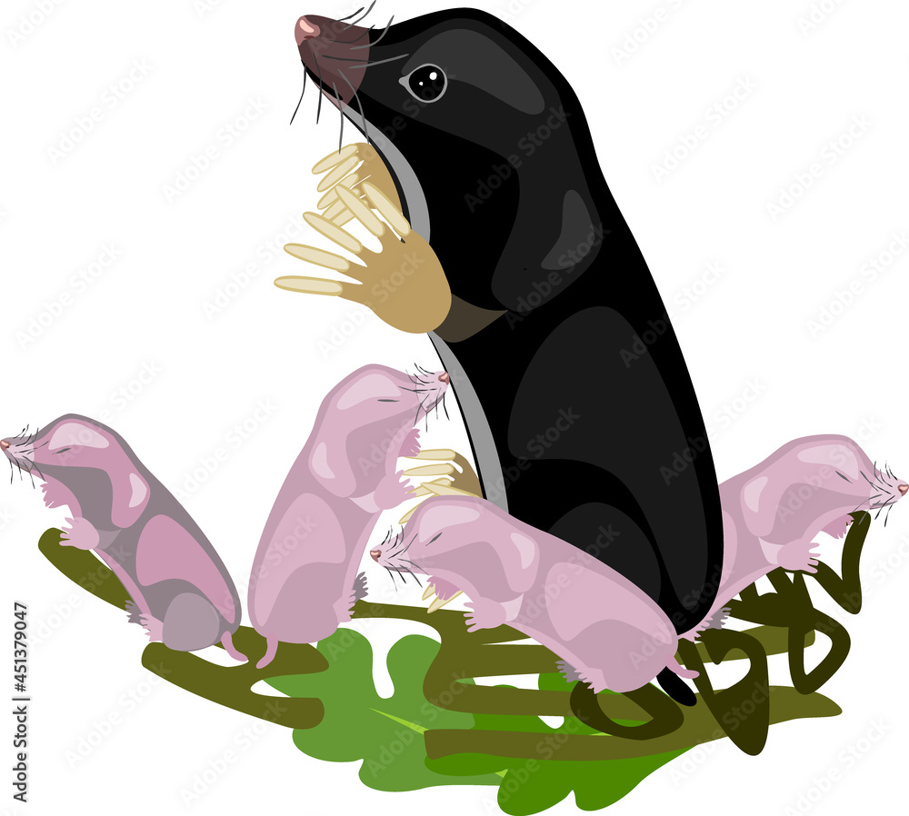 Cartoon black mole with newborn pink babies isolated on white ...