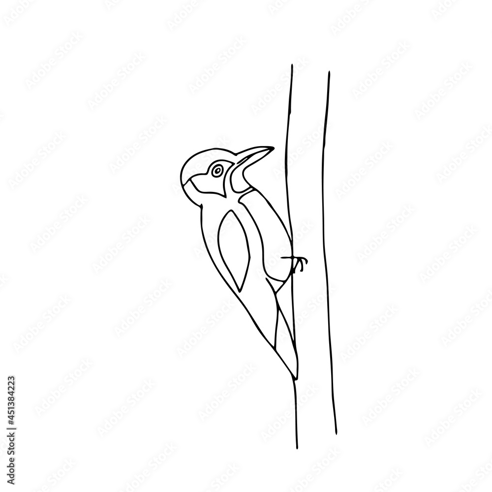 Hand-drawn black outline vector illustration of one fun woodpecker ...