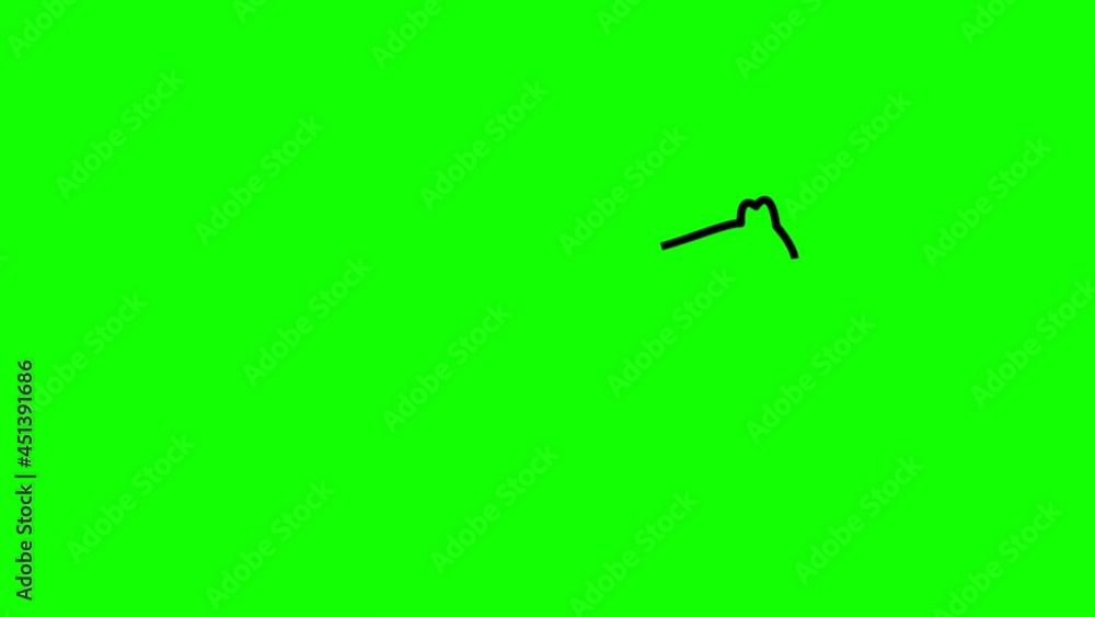 Fox line icon animation on the green screen background. 4K video ...