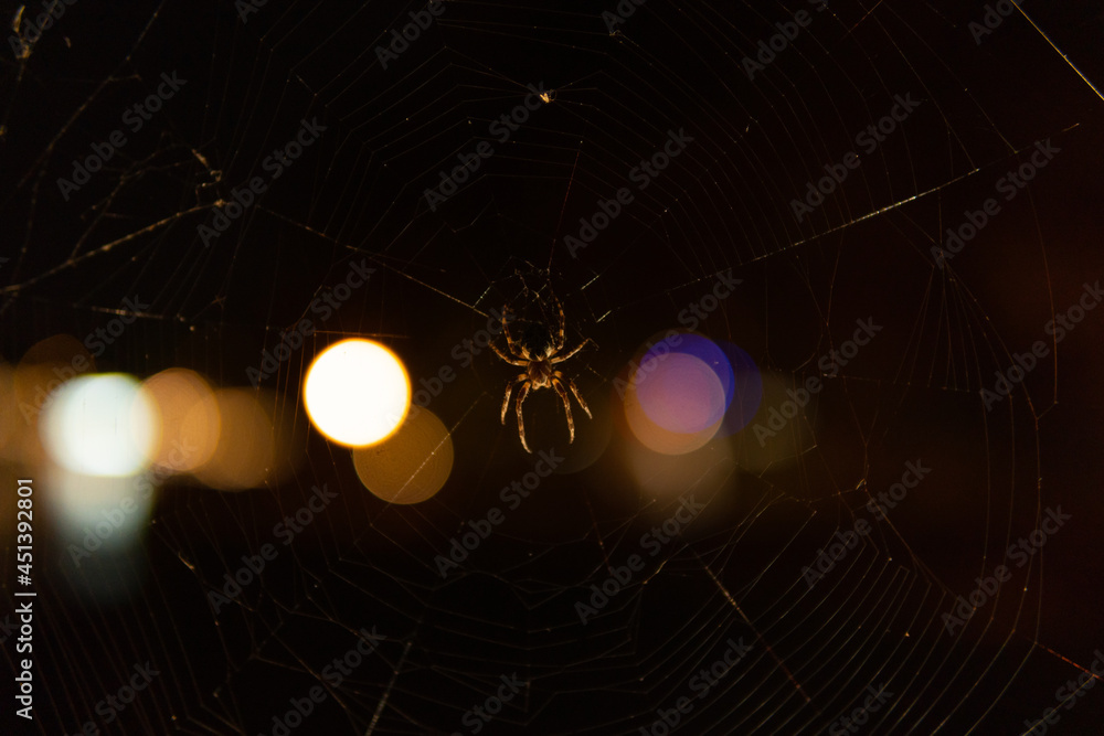 Spider's web in the night. Spider making its web on a bridge by night ...