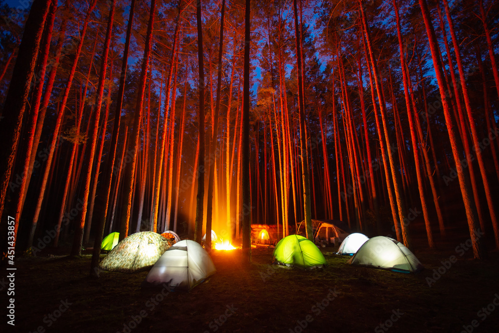 Children camping in the spruce forest. Night photo of many different ...