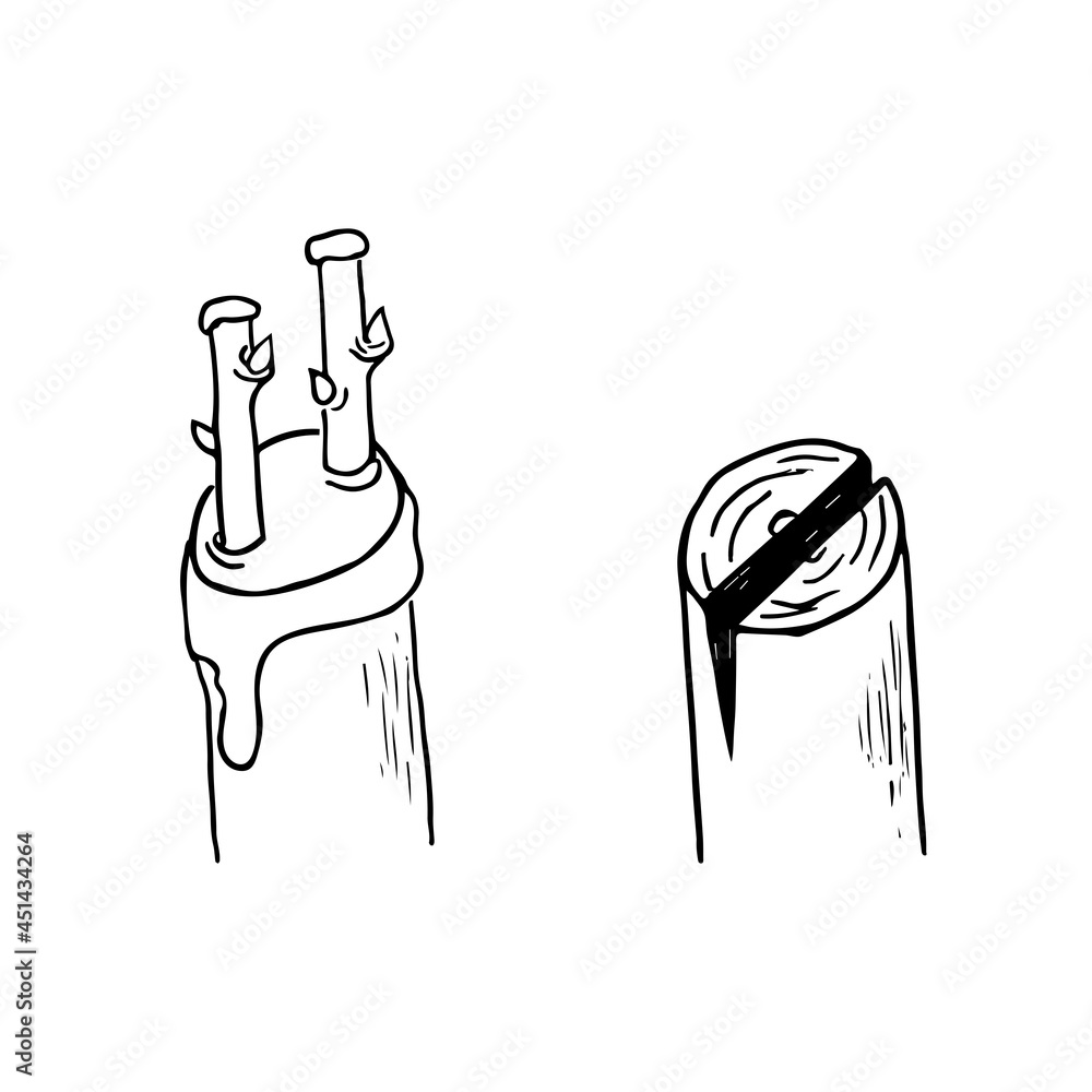 Budding form of grafting. Scion consists of a several buds and small ...