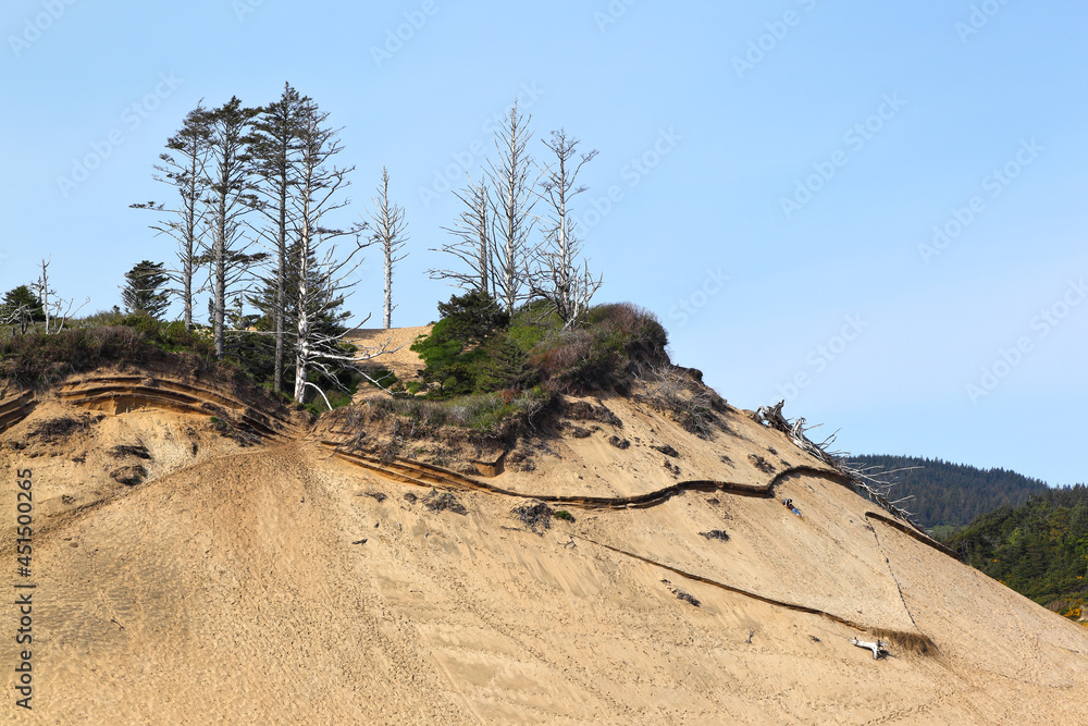 Along the Oregon Coast: The very top of sand dunes at Cape Kiwanda ...